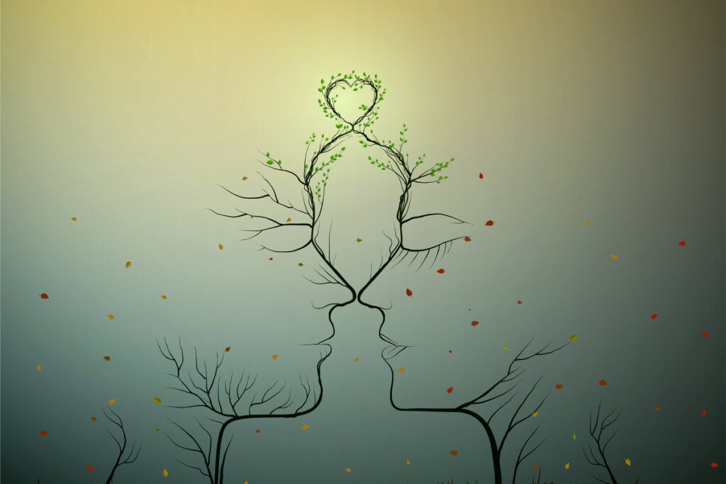 Was sind die Unterschiede zwischen Anziehung, Verliebtheit und Liebe?
